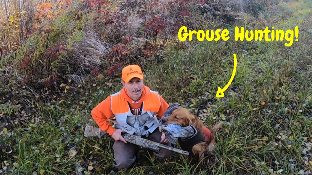 Northern WI Ruffed Grouse Hunting! (Great Action) - YouTube
