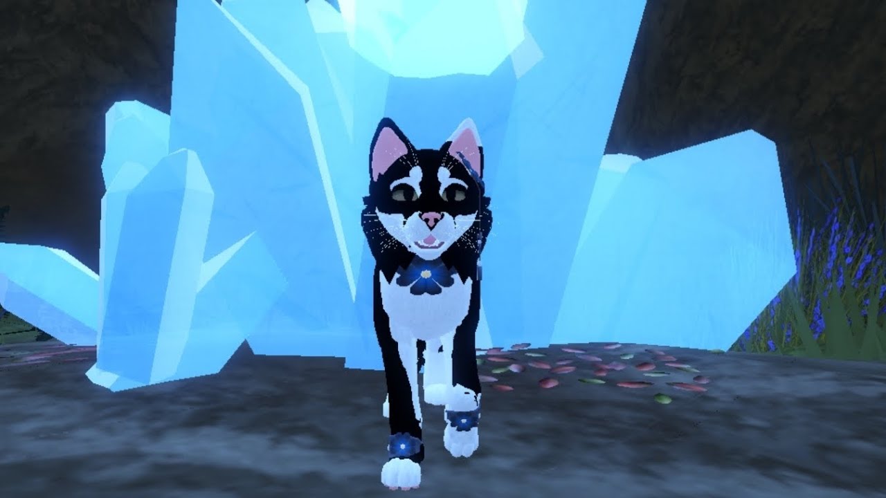 WARRIOR CATS ULTIMATE EDITION! MAP SHOWING! - YouTube