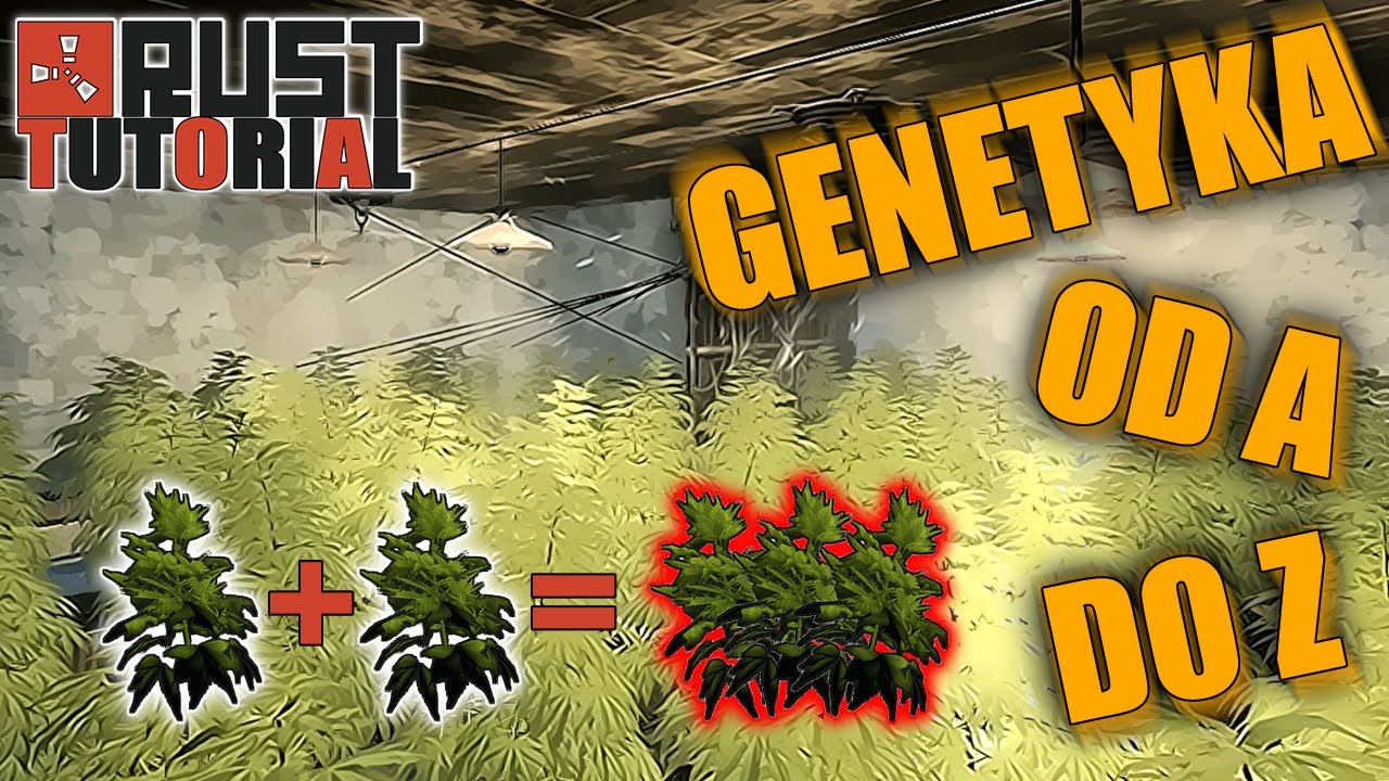 Rust Tutorial - Genetyka, Najcięższa rzecz w Ruscie? - YouTube