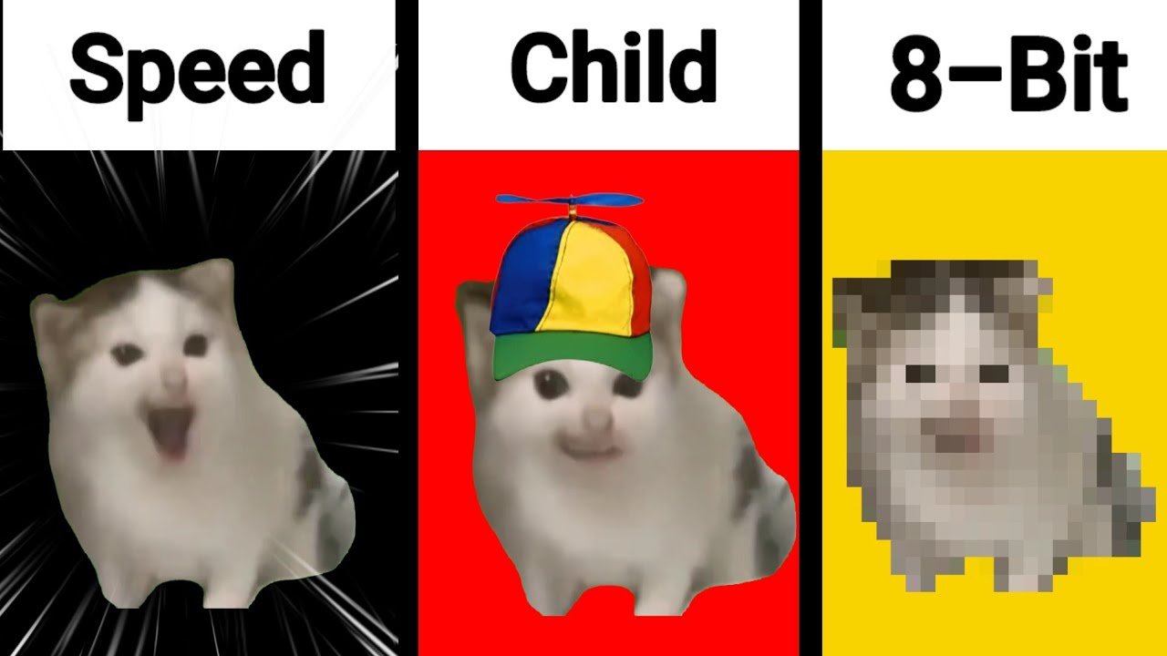 German cat meme in different variation - YouTube