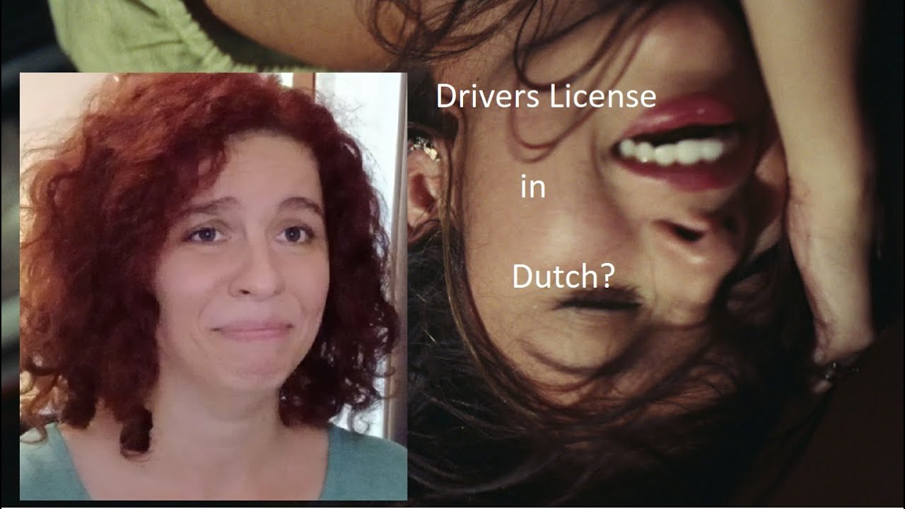 Drivers License in Dutch!? Testing Google Translate #learndutch - YouTube