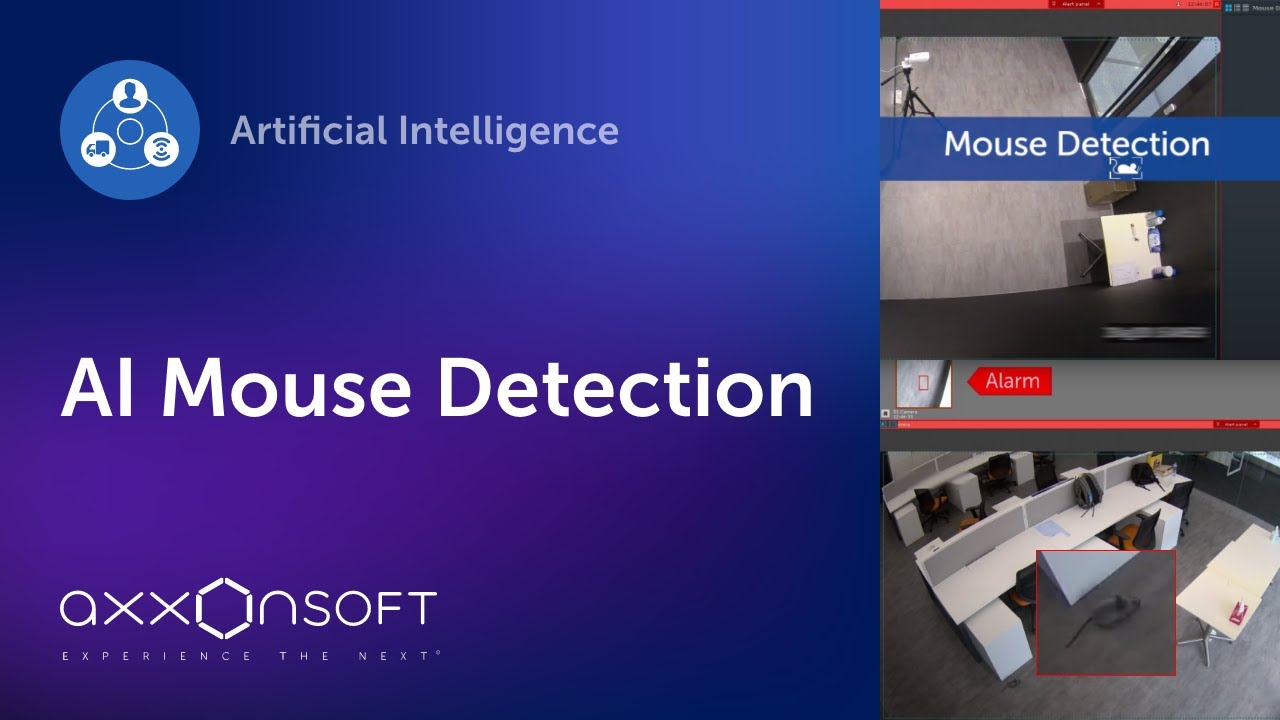 Custom AI Video Analytics: mouse detection - YouTube