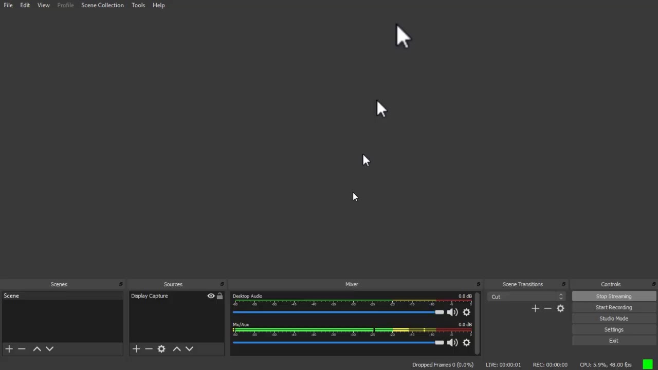 Allison Cain Live Stream - YouTube