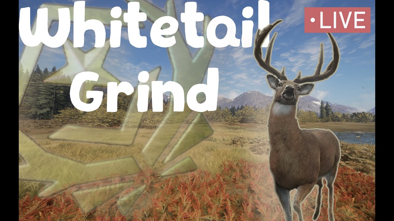 Setup for the Whitetail great one grind on Layton! The Hunter call of ...