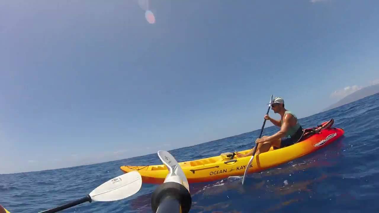 Turtle Reef Kayaking in Maui, Hawaii - YouTube