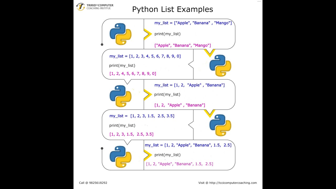Python List Examples - YouTube