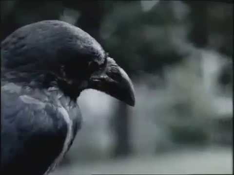 Six Feet Under Credits Music Intro - Simon Fratantueno