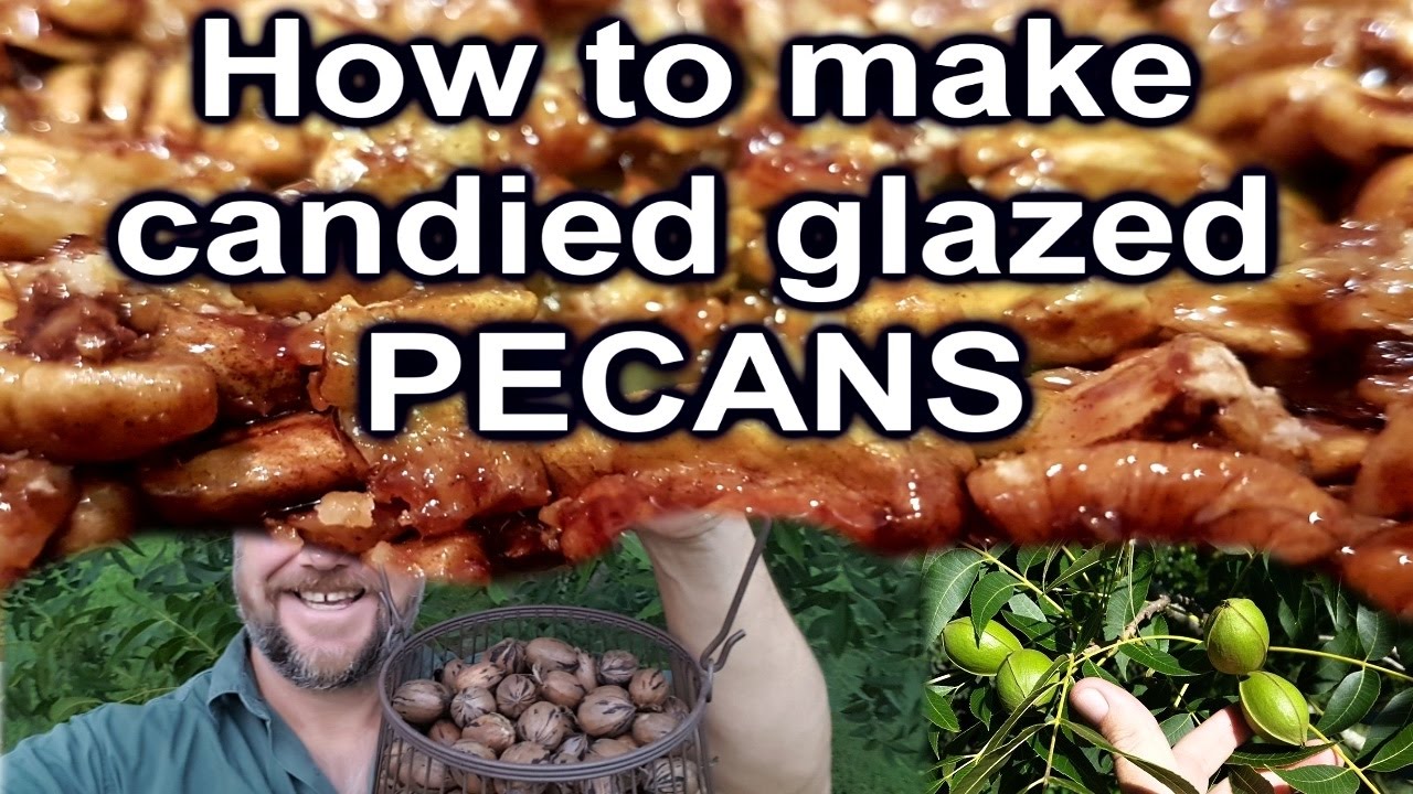 How to make candied glazed PECANS from Homegrown Nuts - YouTube