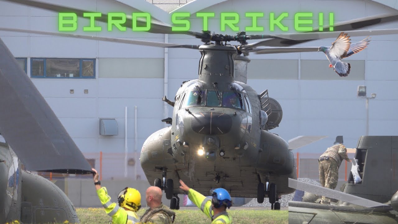RAF Chinook Hot Refuel - BIRD STRIKE!!!!!! - YouTube