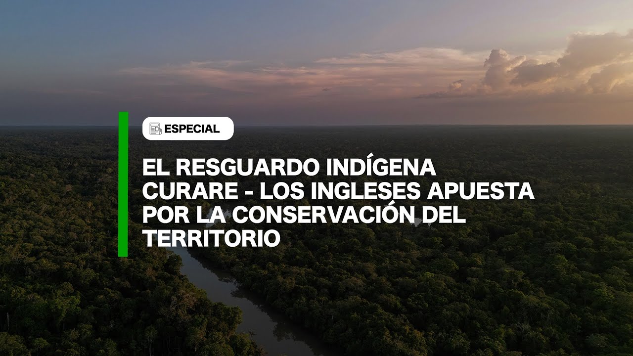 El resguardo indígena Curare - Los Ingleses apuesta por la conservación ...