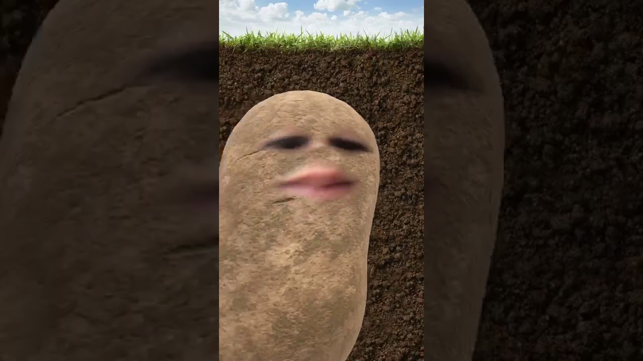 Funny Potato Snapchat Filter - YouTube