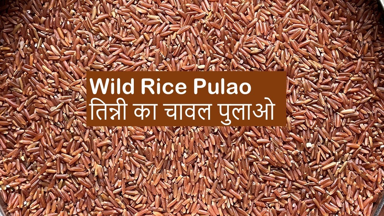 Wild (red) Rice Pulao Tinni ke Chawal ka pulao - YouTube