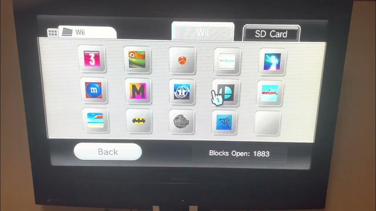 My Wii Save Data (6.18.2023) - YouTube