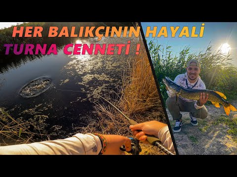 Aksiyon Dolu Turna Avı !! | Bu Mera Da Küçük Turna YOK !!!