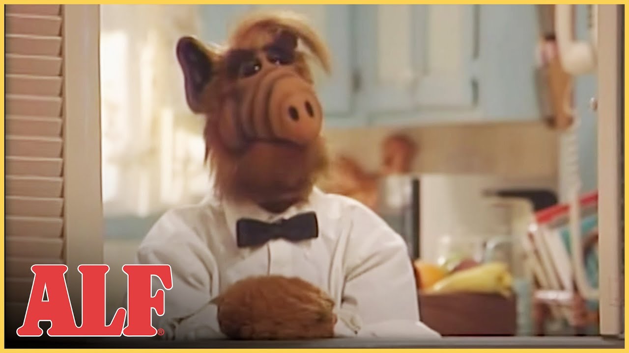 ALF the Man Servant | ALF | S2 Ep1 Clip - YouTube