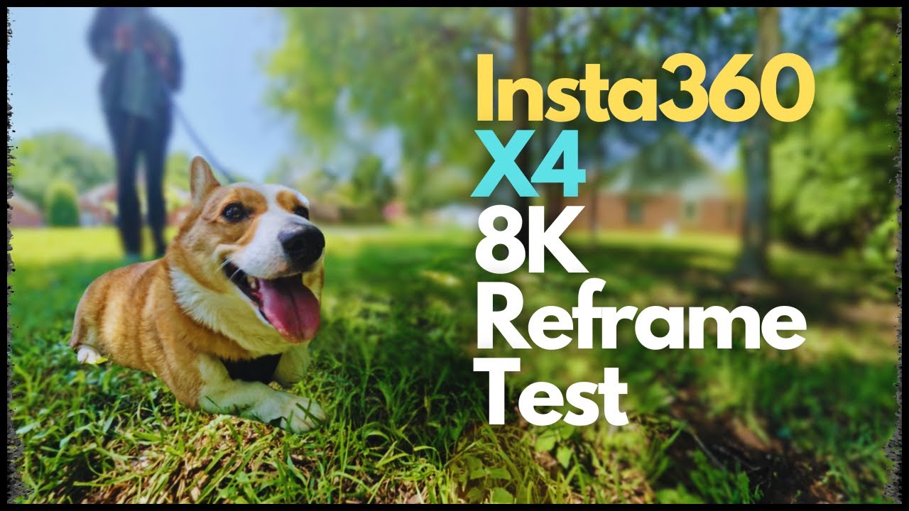 Insta360 X4 Corgi Walk 8k: The Best 8k 360 Camera? - YouTube