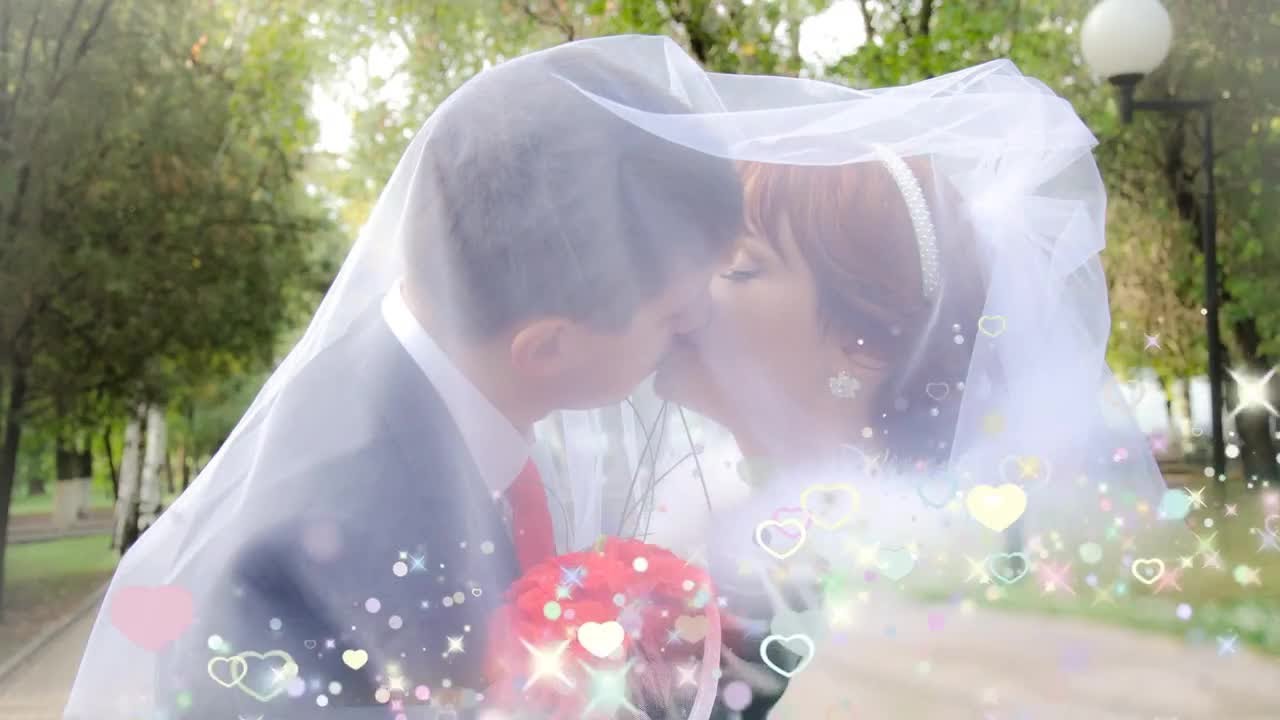 5 Wedding Transitions (Pack 2 - Multicolored) Motion Graphics - YouTube