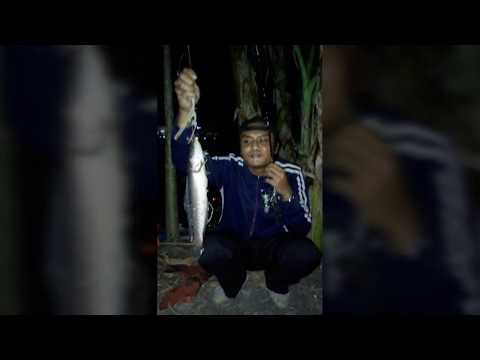 jangan mancing disini banyak ikannya