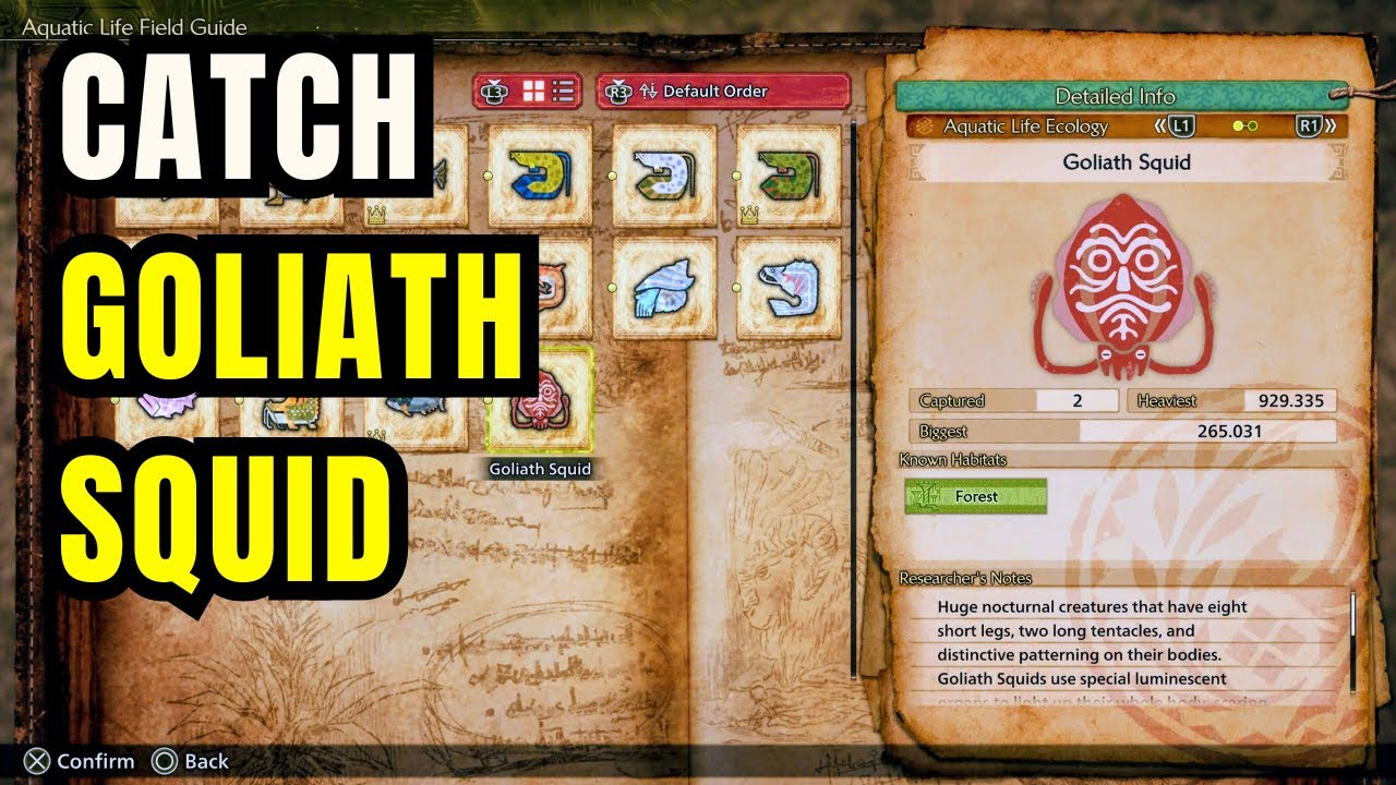 How to Catch Goliath Squid l Monster Squid Hunter l Monster Hunter ...