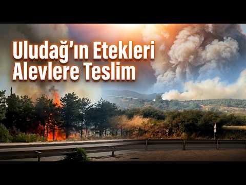 Uludağ'ın etekleri yanıyor; Bursa'da aynı anda 3 noktada yangın