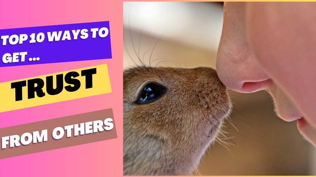 "Building Trust: 10 Key Strategies for Gaining Trust from Others" - YouTube