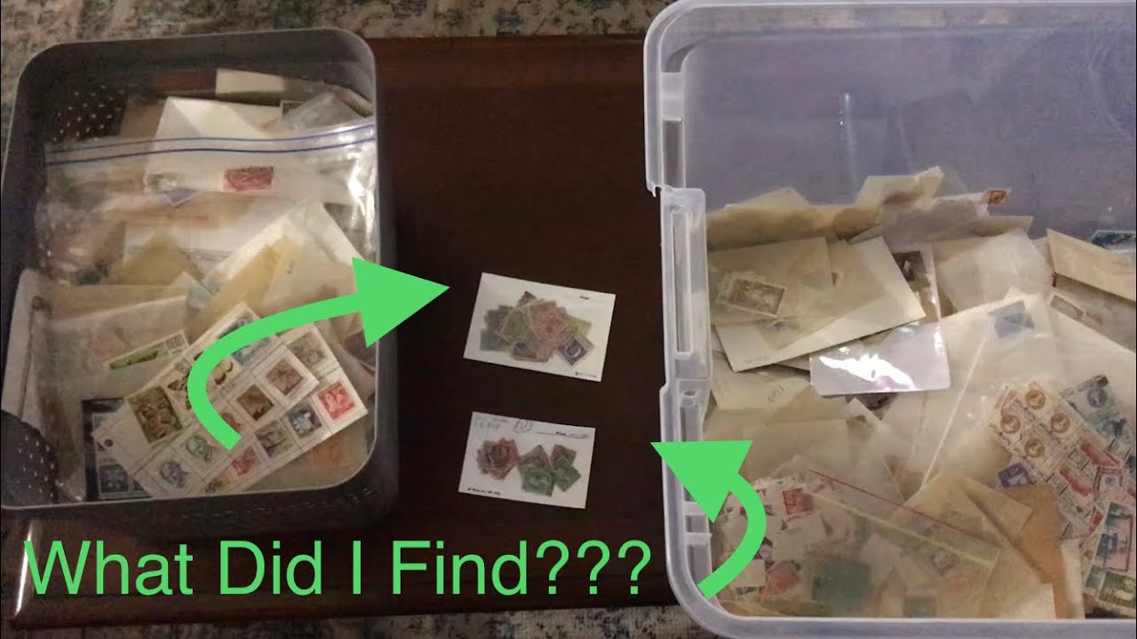 Bin Stamp Search! Valuable Stamps Found? - YouTube