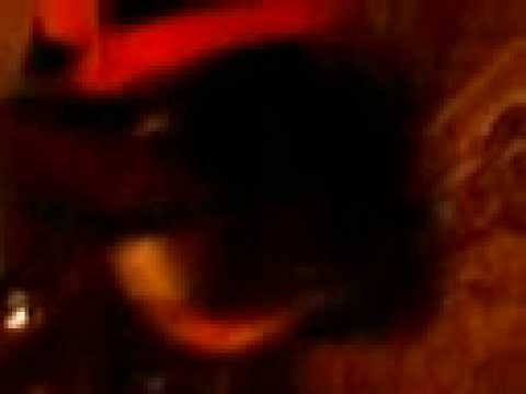 Tiganca.mp4