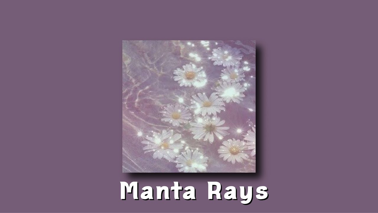 chloe moriondo - manta rays (slowed) - YouTube