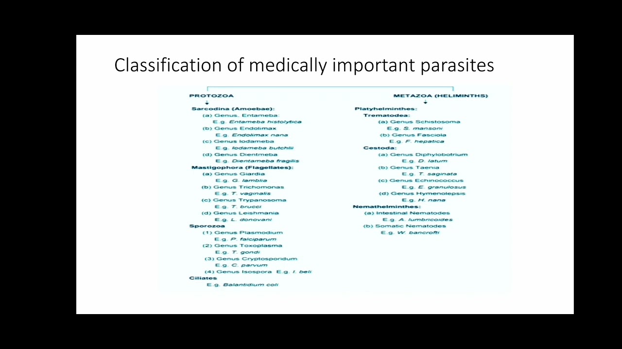 UNIT 1: GENERAL PARASITOLOGY: Classification of medically important ...