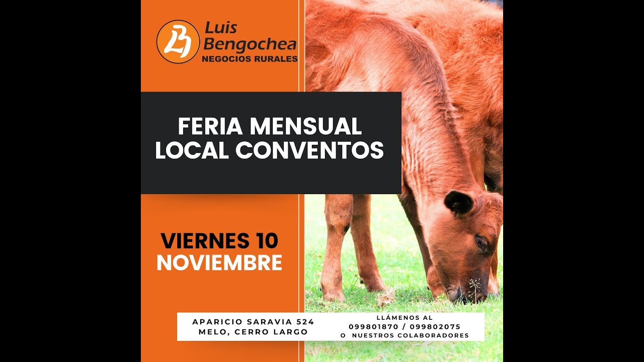 10/11/2023 Local Conventos - Bengochea SRL, Luis A. - YouTube