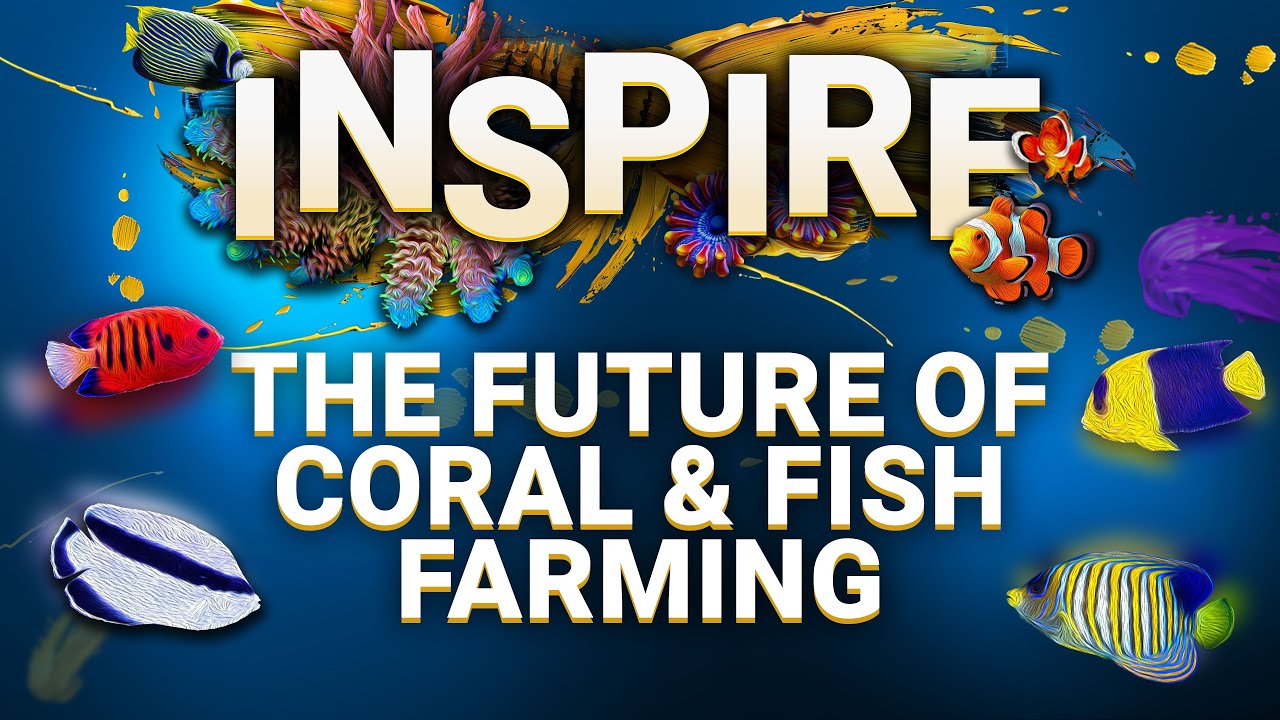 Experts Reveal the Future of Coral & Fish Farming! - YouTube
