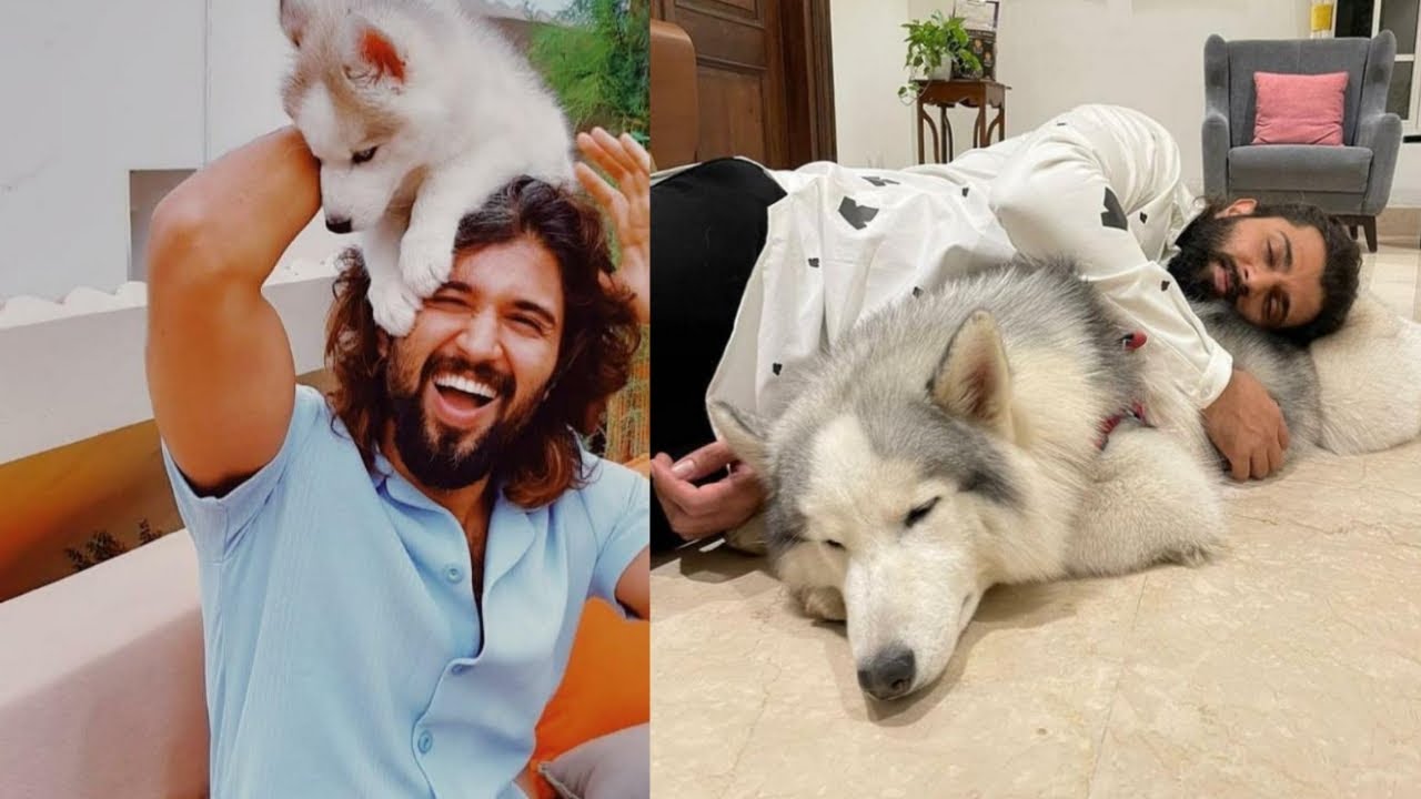 Vijay devarakonda unconditional love with his dog storm - YouTube