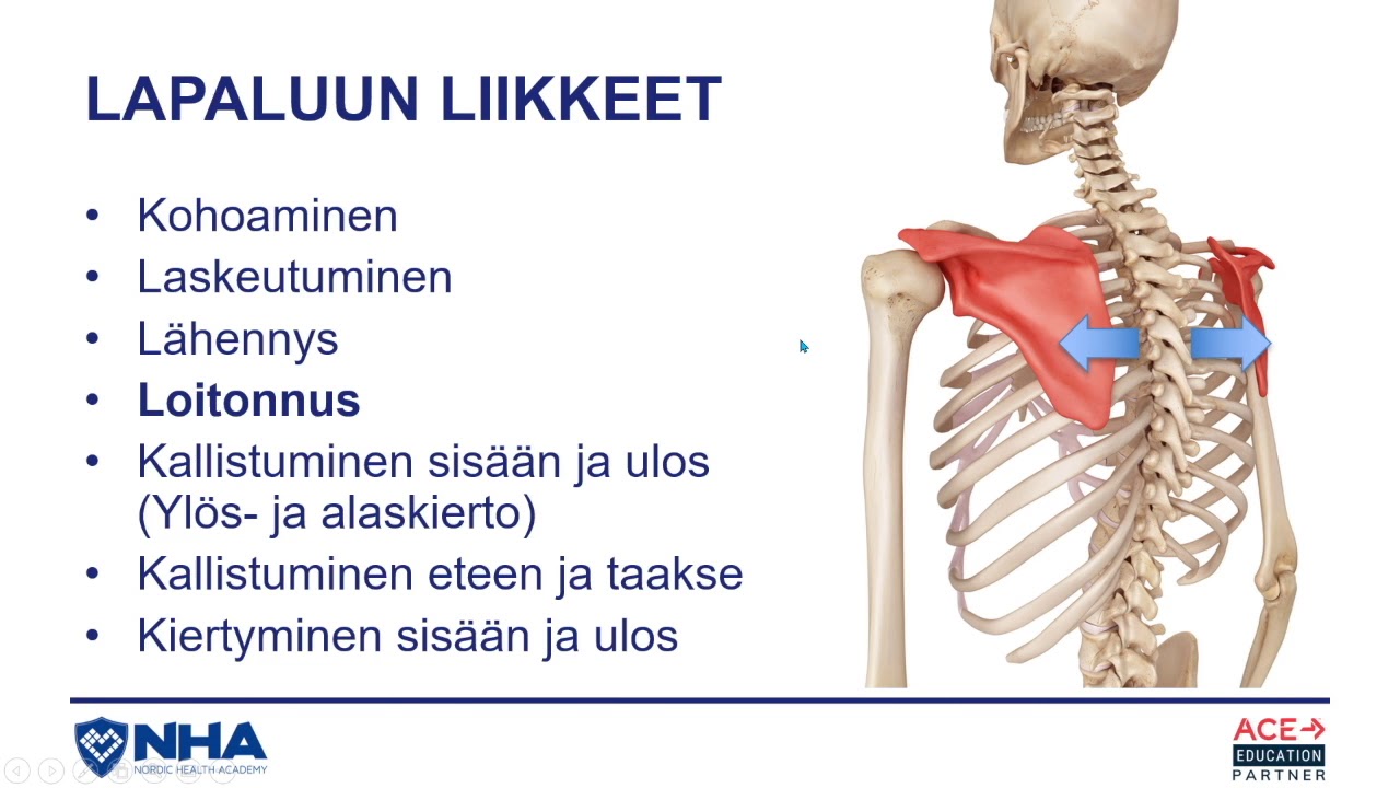 Lapaluun liikkeet | Ari Pekka Lindberg, Nordic Health Academy - YouTube