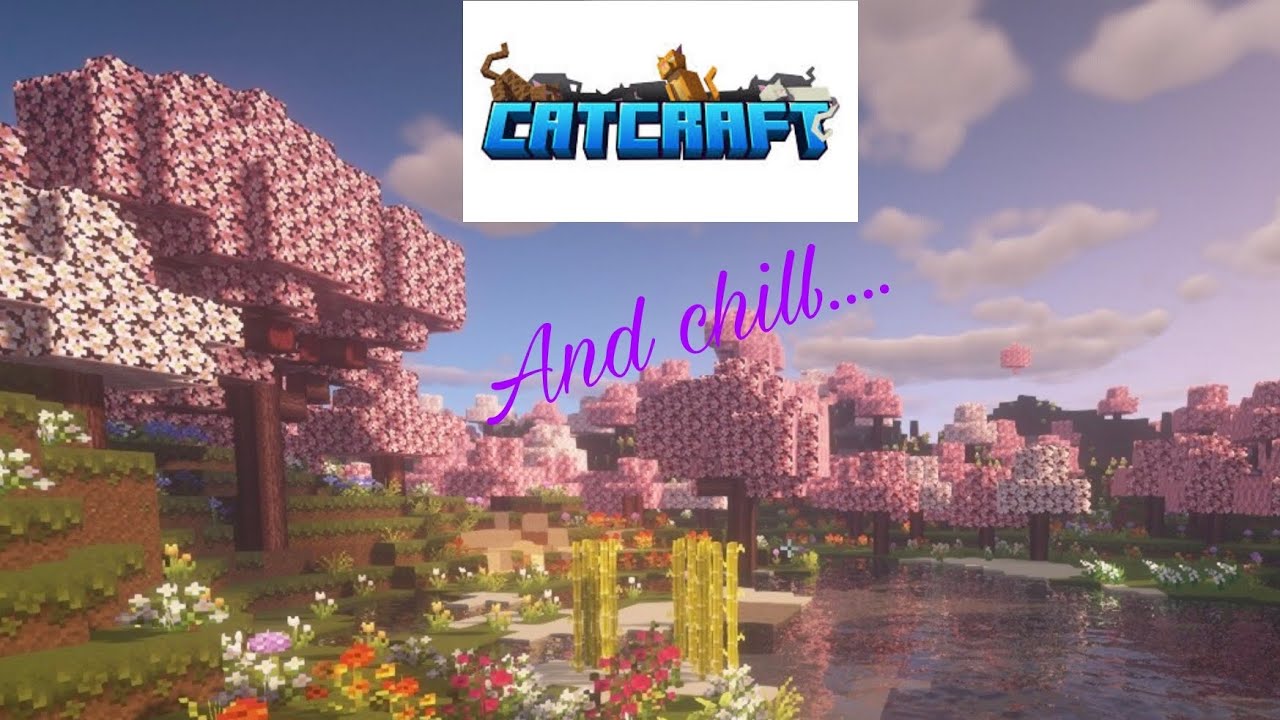 CatCraft ep. 6 | catcraft and chill... - YouTube