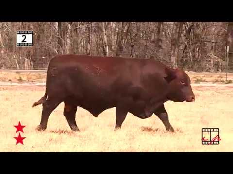 Red Doc Farm - Lot 2 - 6306 - YouTube
