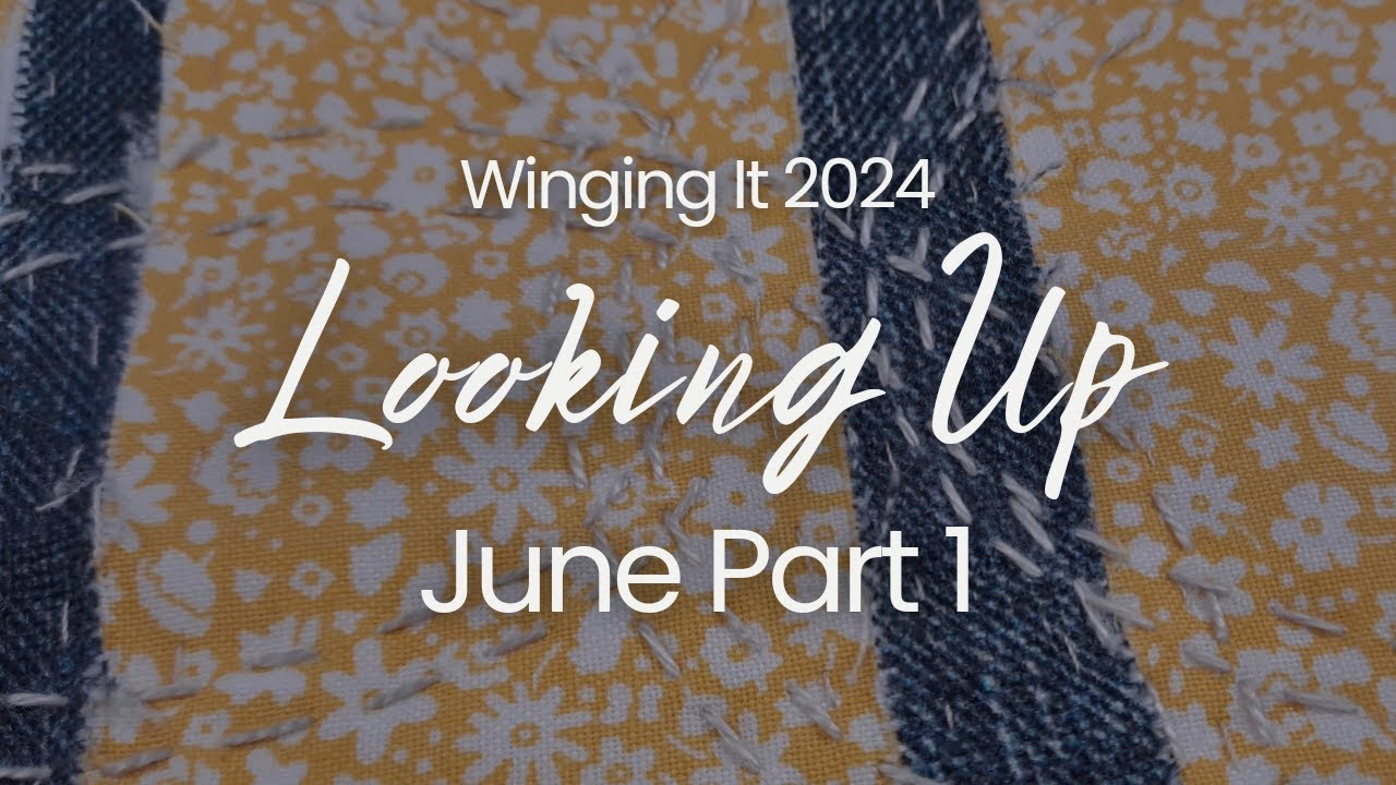 Looking Up | Slow Stitch Inspired By the Night Sky | June Stitch Along ...