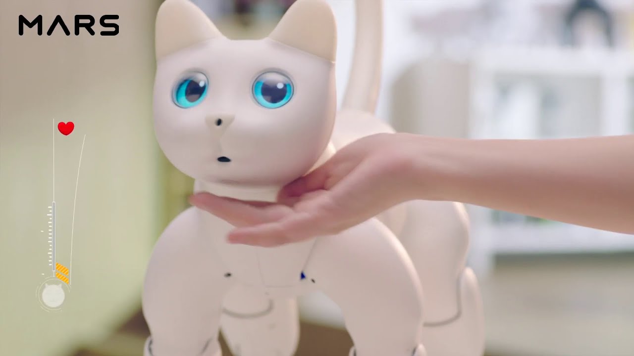 10 MODERN ROBOTIC GADGETS THAT YOU WILL DEFINITELY WANT - YouTube