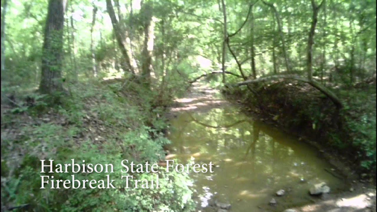Richland RUNS: Harbison State Forest - YouTube