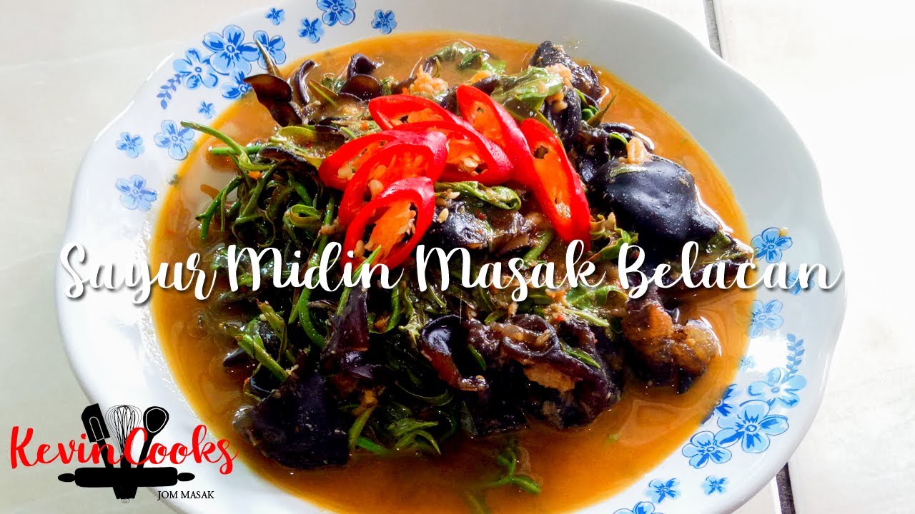 Sayur Midin Masak Belacan SEDAP - YouTube