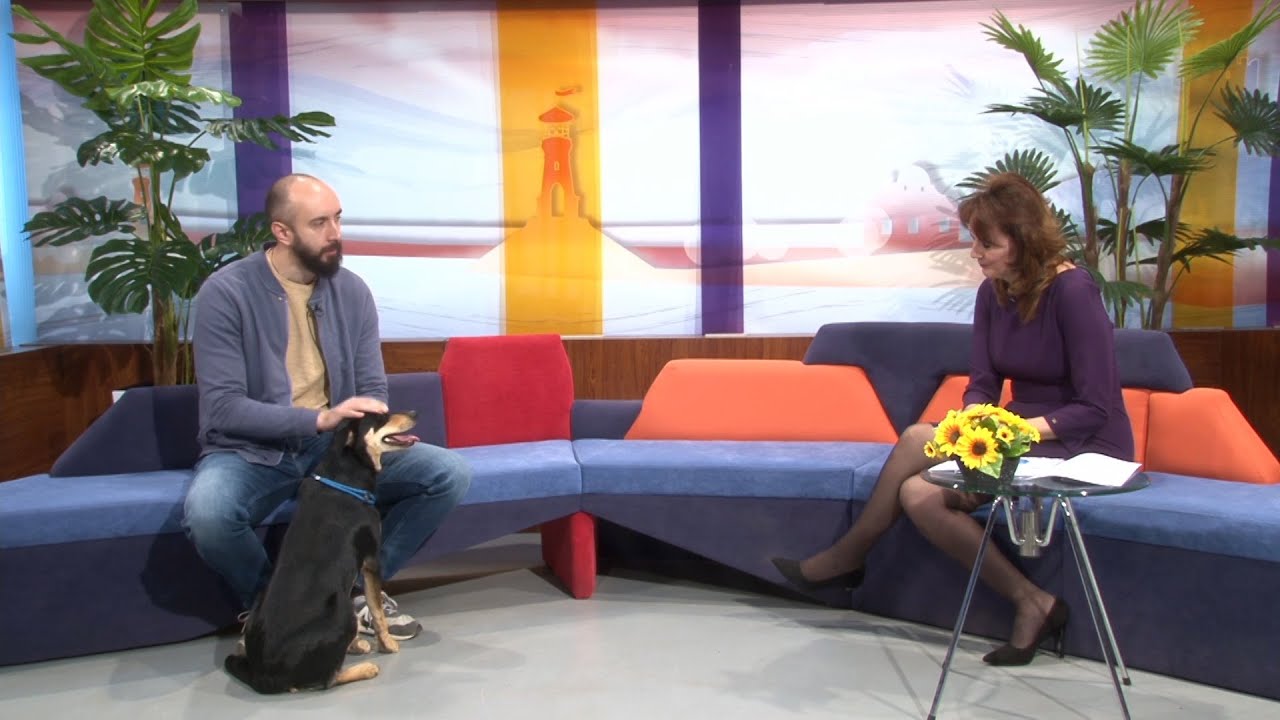 dr Nikola Bugarin, gost emisije "Budjenje uz TV Pančevo" 03.11.2023 - TV Pančevo - YouTube