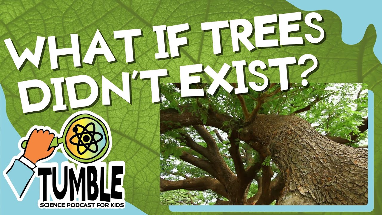 What if Trees Didn't Exist? | Full Podcast Episode | Tumble Science ...