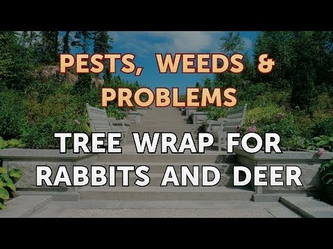 Tree Wrap for Rabbits and Deer - YouTube
