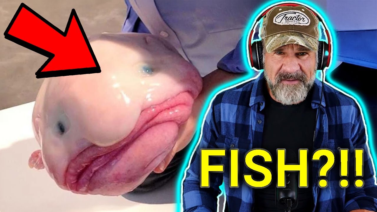 Man Finds Weird-Looking Fish Inside His Toilet, Vet Says, That's Not A ...