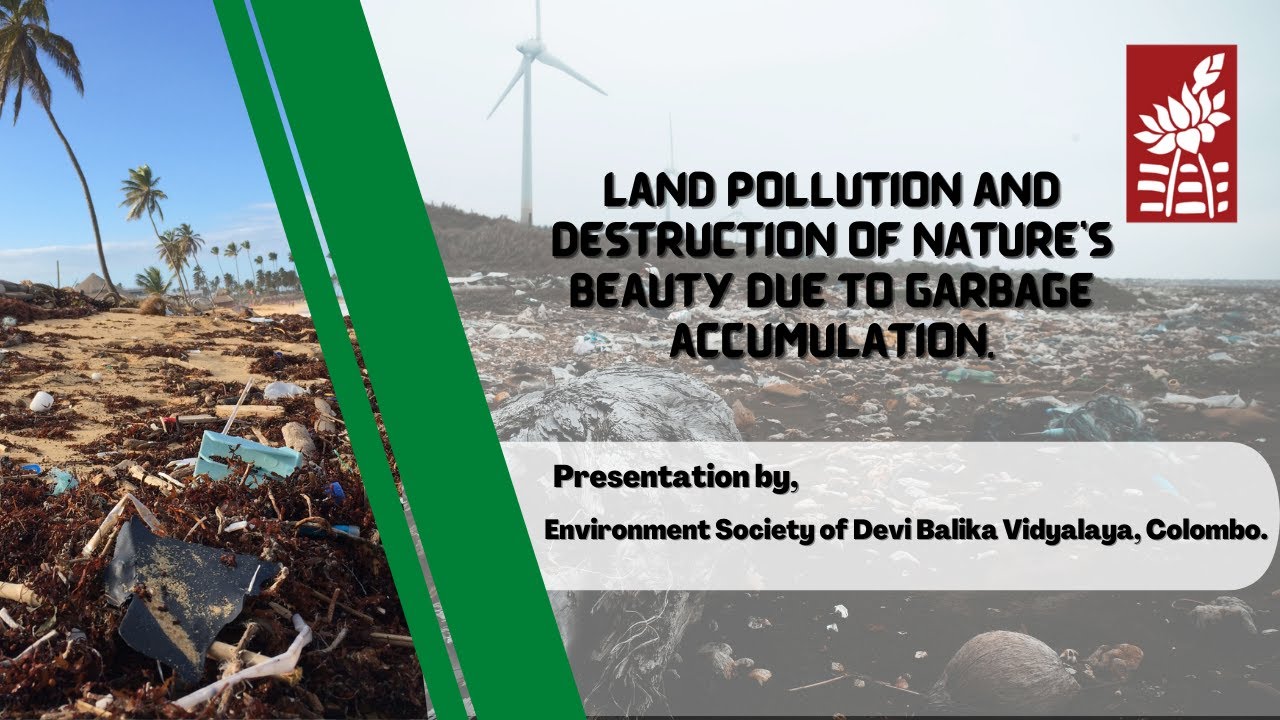 Presentation by The Environment Society of Devi Balika Vidyalaya - YouTube