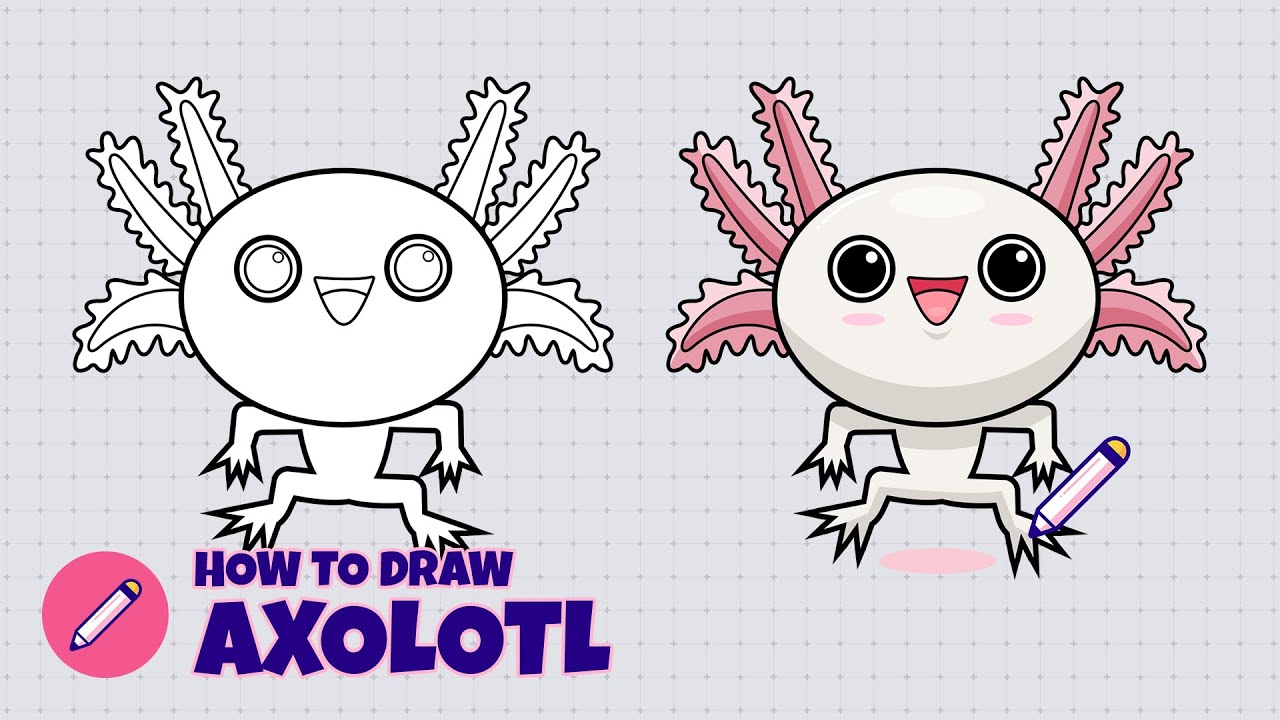 How to draw an Axolotl? Step by step drawing tutorial for kids | Easy ...