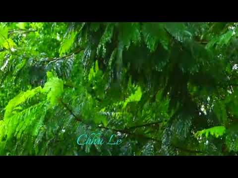 Sun Sathiya Mahiya 🌧️ Monsoon Special ☔❤️ WhatsApp status 🎥. Eadit By SK Creation ×͜×