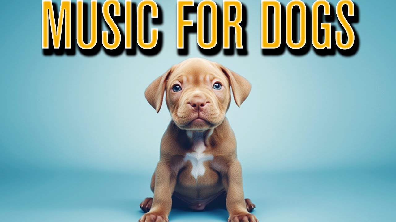 Dog Music for Calm Grooming Sessions – Make Bath Time Peaceful - YouTube
