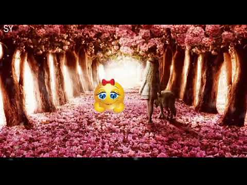 BEST GIRLS LOVE STATS TERY IS CHERY KO