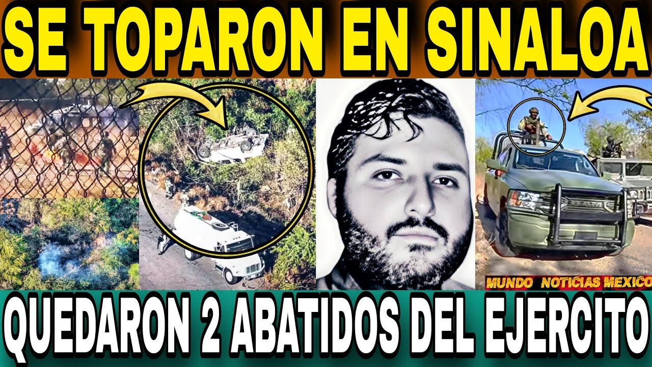 LA MAYIZA se TOPA con las FUERZAS ESPECIALES del EJÉRCITO en COSTA RICA ...