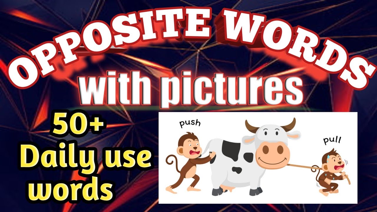 Opposite Words Ll Opposite Words For Kids Ll Antonyms Ll Top 50 Opposite Words In English Ll opposite-words-ll-opposite-words-for-kids-ll-antonyms-ll-top-50-opposite-words-in-english-ll